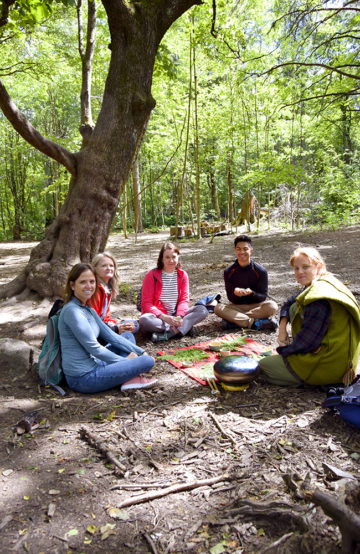 Stress ned med skogsbading | Magasinet Reiselyst