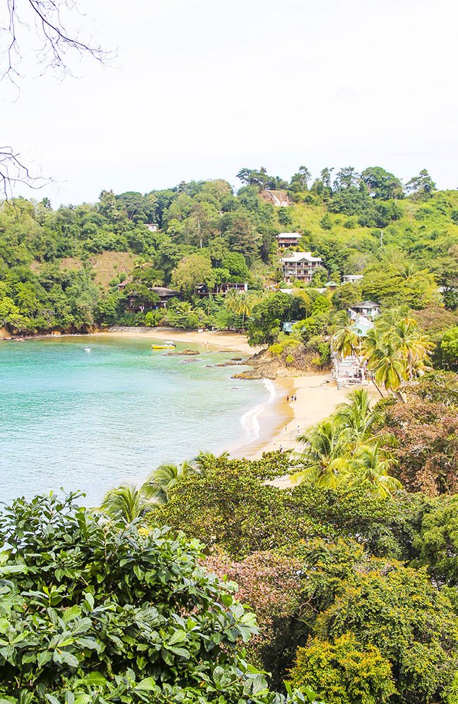 castara retreats_tobago_IMG_6841_foto Ida Anett Danielsen | Magasinet ...