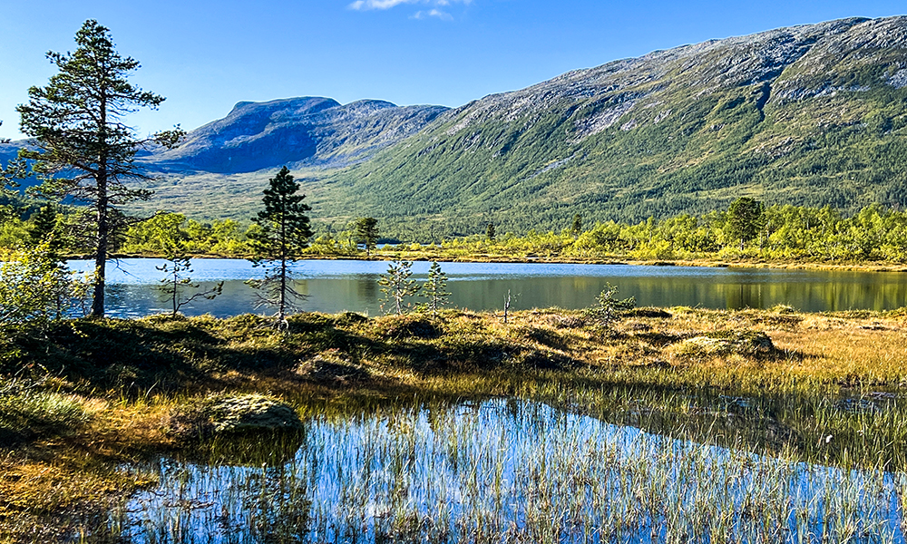 73.Anderdalen_Torild-Moland_9975-1 | Magasinet Reiselyst