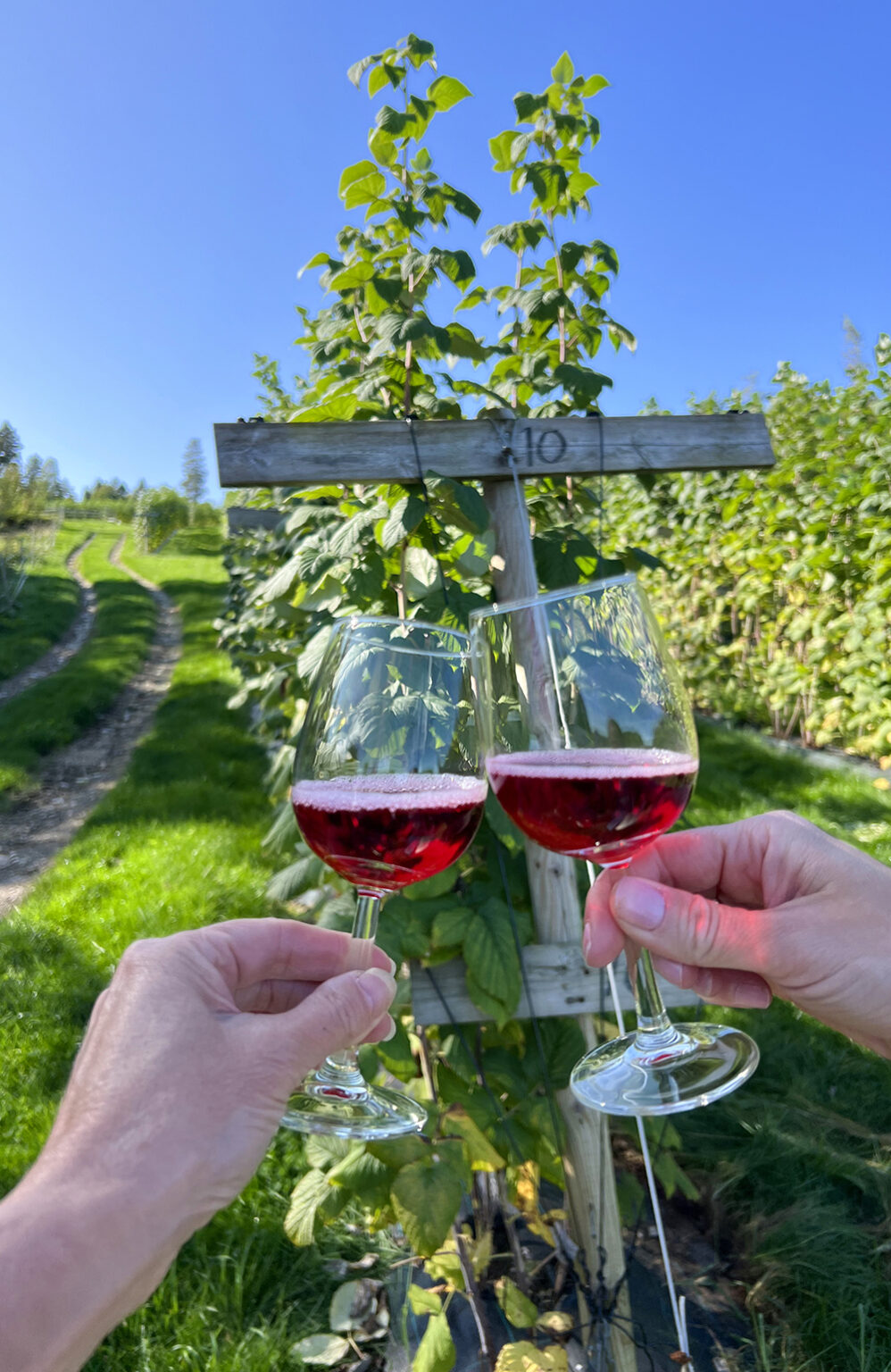 Oslofjordens matskatter | Magasinet Reiselyst